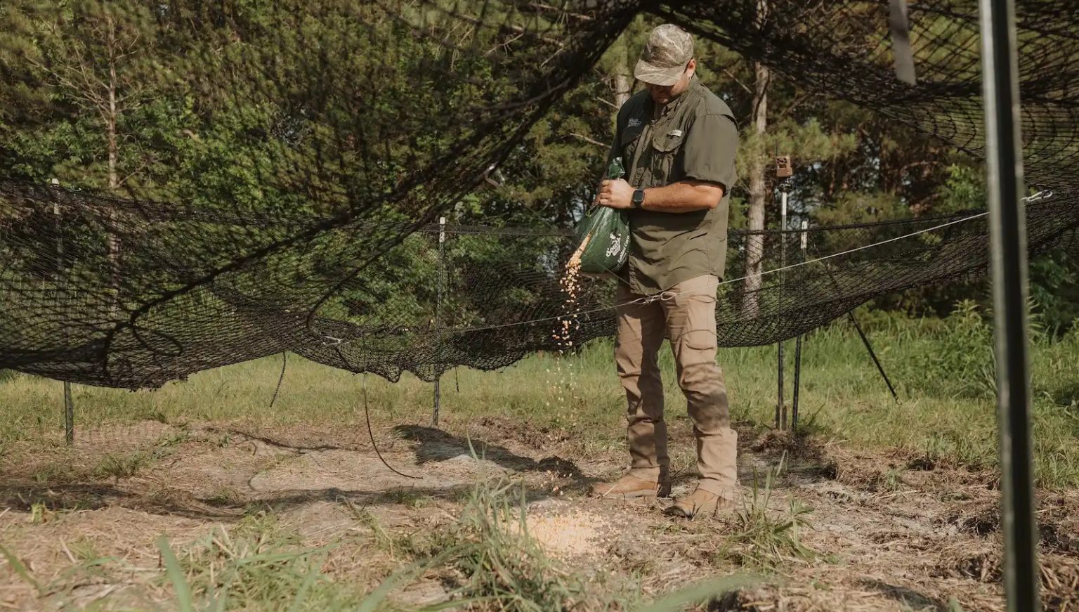 Net Trap Camera | Remote Hog Trapping - HogEye