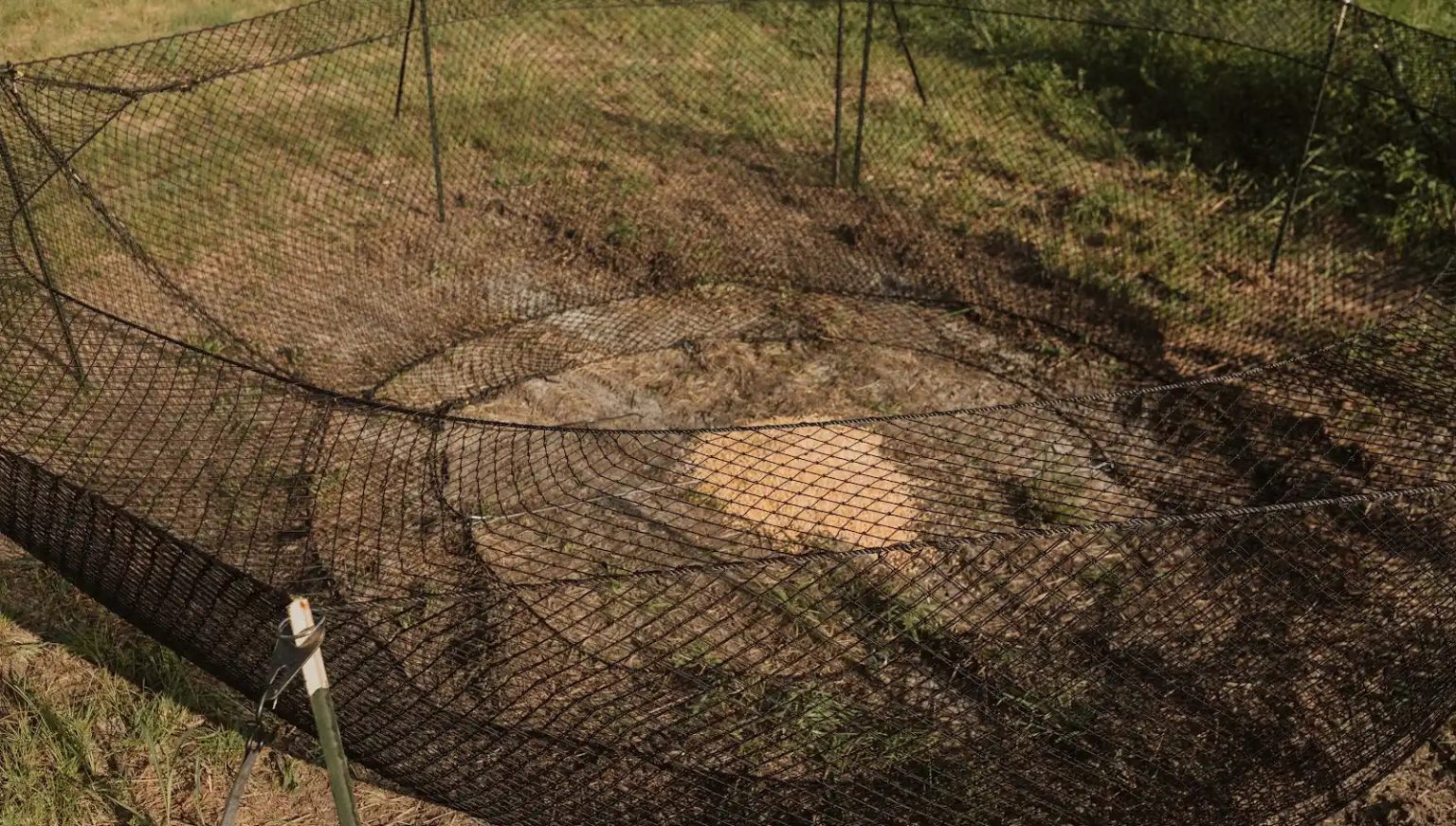 Net Trap Camera | Remote Hog Trapping - HogEye