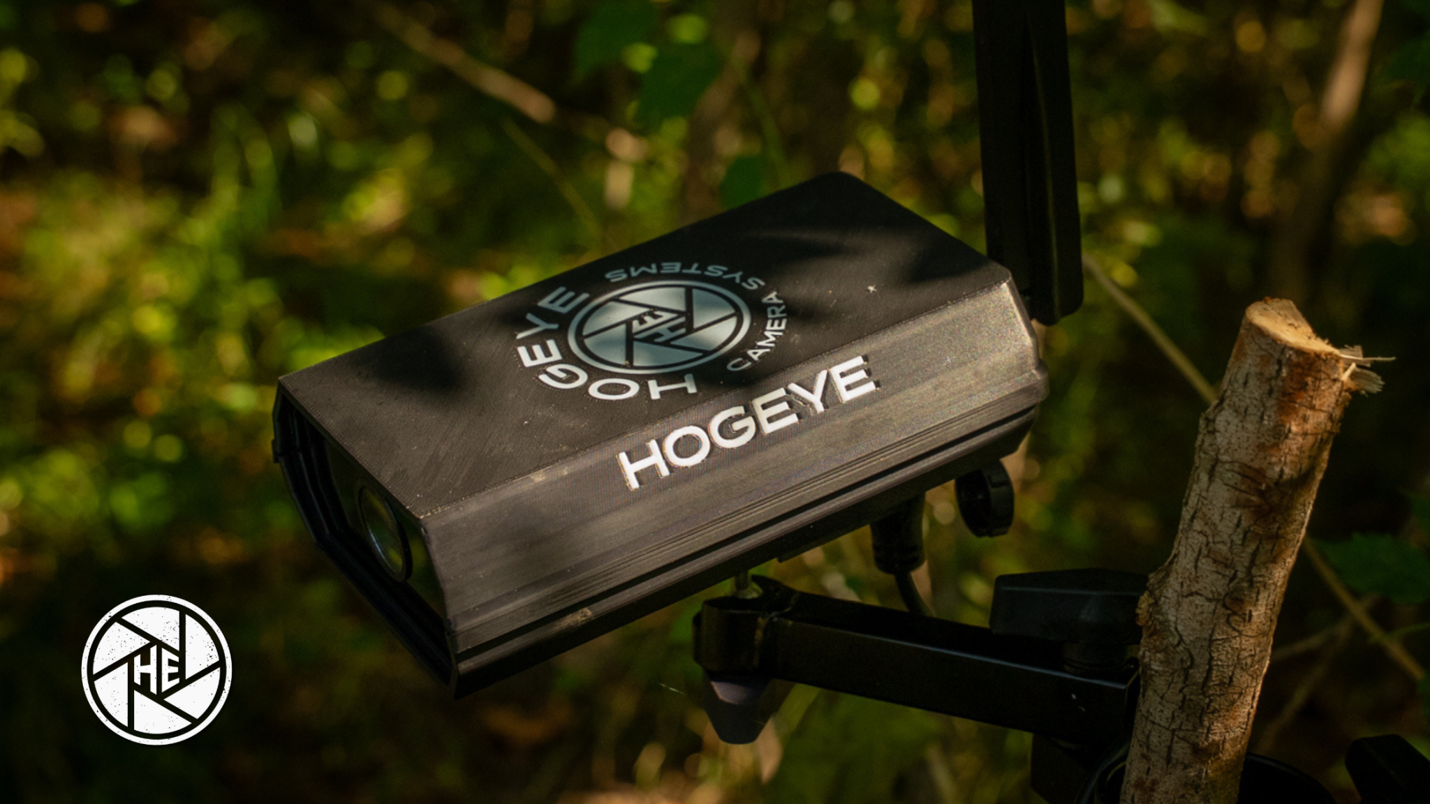 Off-Grid Cameras vs Poachers: What Ranchers Have Learned