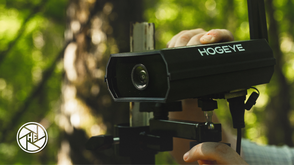 How Solar Power Keeps Ranch Cameras Running Off-Grid